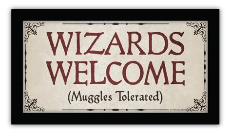 Muggles Harry Potter