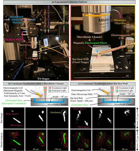 Actuation Continuous Visualization And Motion Analysis Of Magnetic