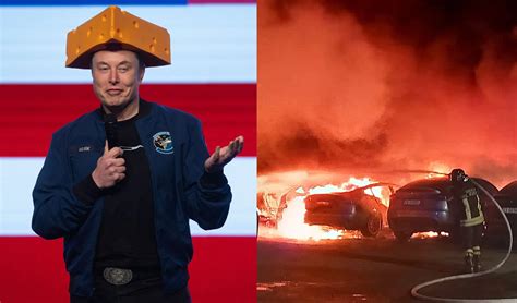 포착 머스크 치즈 모자 쓰고 선거운동 하는 사이테슬라 17대 방화로 ‘활활 나우뉴스