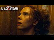 Black Widow Marvel Cinematic Universe Wiki Fandom