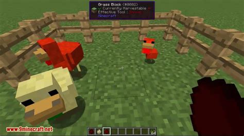More Chickens Mod 1122 1112 New Chickens For Breeding Mc Modnet