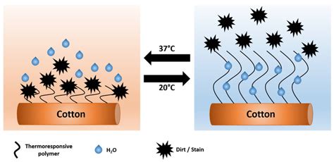 Schematic Representation Of The Self Cleaning Of A Thermoresponsive