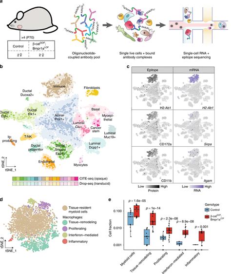 Combined Mrna And Epitope Profiling From Single Cells Resolves Immune