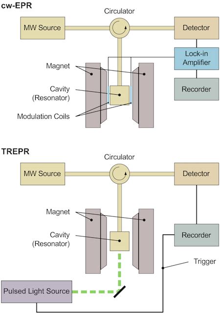 Experiment Treprde