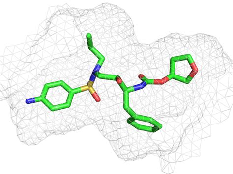 Surface Type Pymol Wiki Surface Type Pymol Wiki