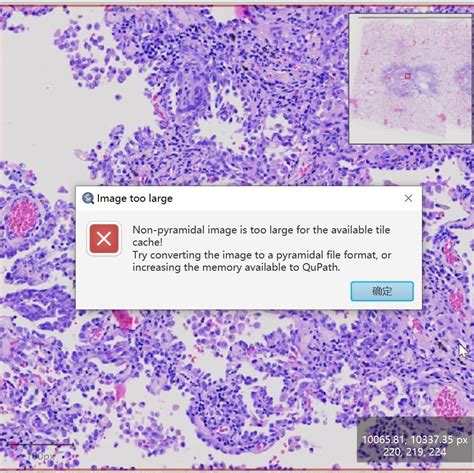 qupath cannot open too large tiff format picture usage and issues
