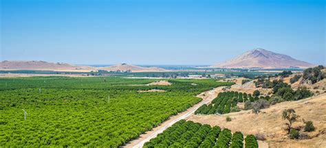 The Unseen Beauty And Benefits Of Kerman California