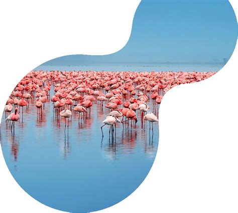 Duplicate Check Customer Data Uniserv Duplicate Check