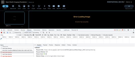 View DICOM File Stored On Google Drive Issue OHIF Viewers GitHub