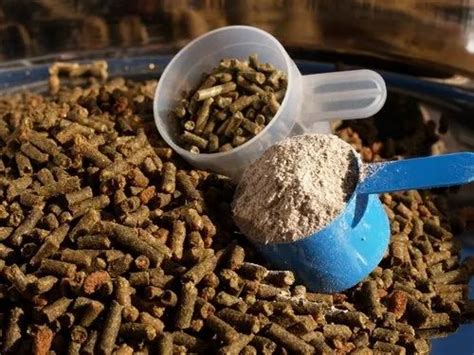 Feed Formulation Service In Bengaluru By Meenakshi Agro Farms Id