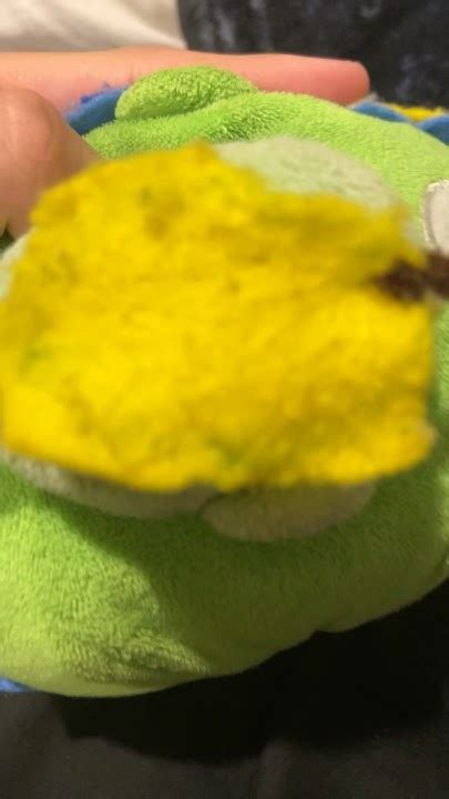 Random Memes Youtube