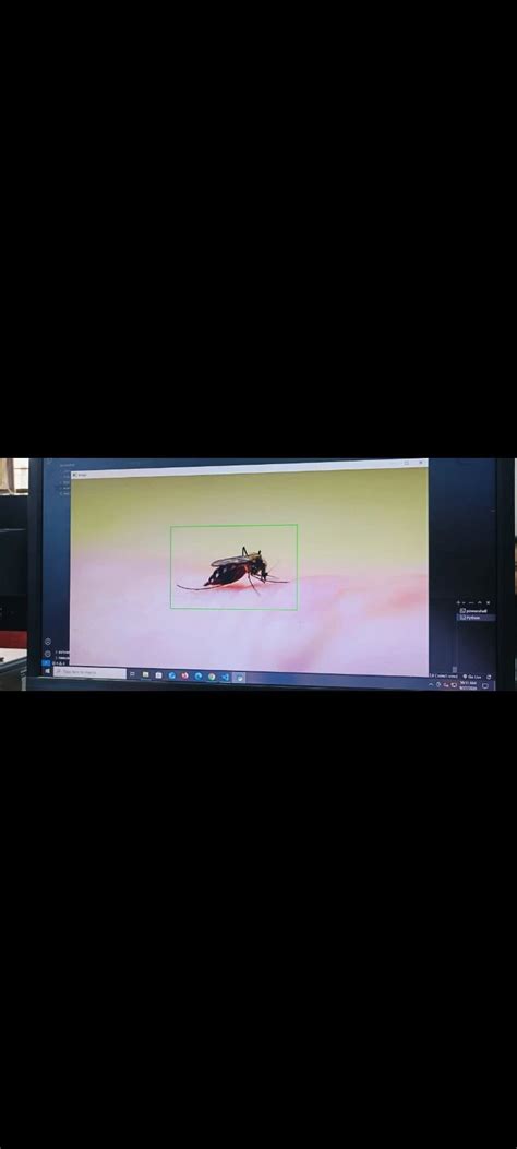 36hours Ml Ai Project Hackathon Realworldproblem Mit Tula Dehradun Machinelearning