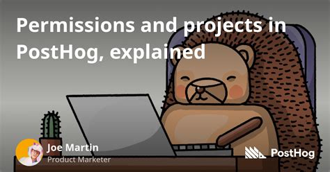 Permissions And Projects In Posthog Explained Posthog