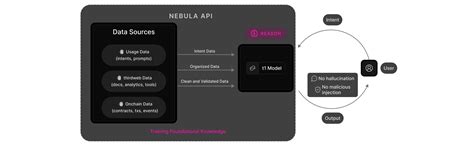 Introducing Nebula A Powerful AI Model To Read Write And Reason Onchain