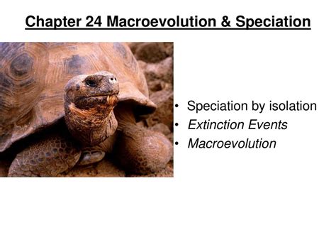 Chapter 24 Macroevolution And Speciation Ppt Download
