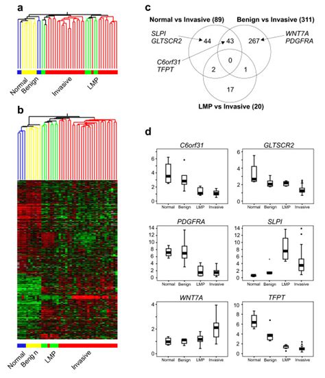 Microarray Analysis Demonstrates Differences In Gene Expression