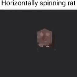 Rat Meme S Download And Share