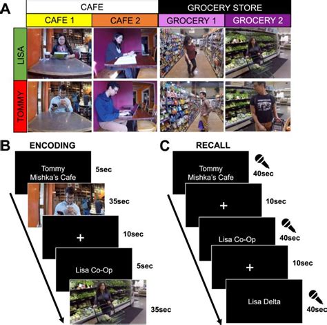 Subramanian G Prof On Linkedin Flexible Reuse Of Cortico Hippocampal