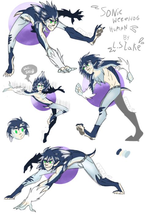 Sonic Werehog On Tumblr