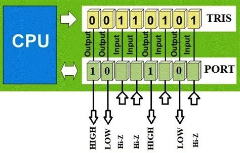blinking led using pic microcontroller mikroc pro