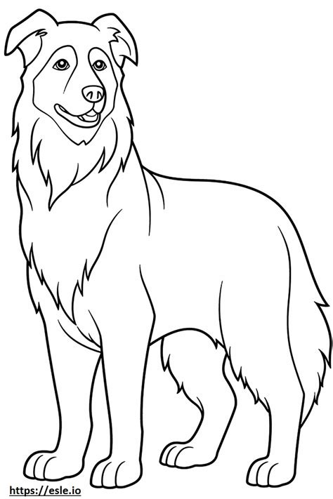 Australian Shepherd Cute Coloring Page