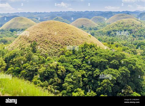 Geological Formation The Chocolate Hills On Bohol Island Philippines