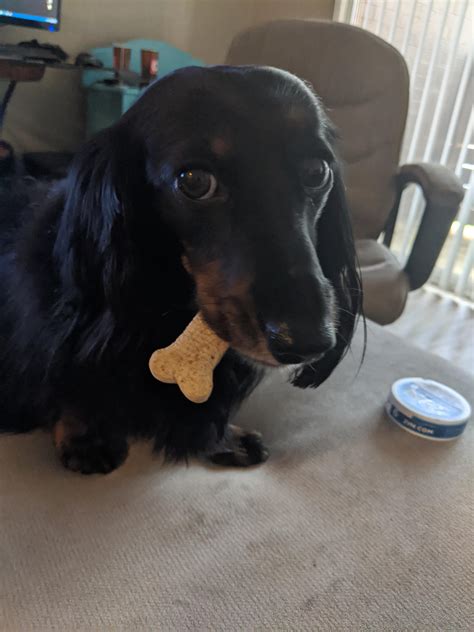 Maggie Scrolller