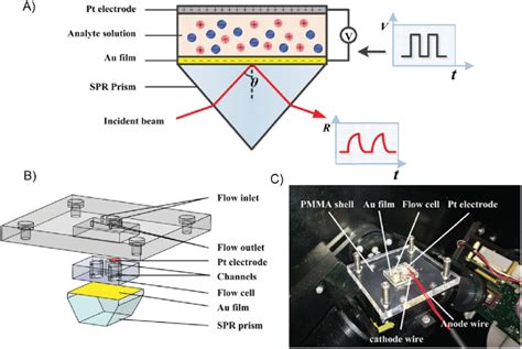 Schematic Of The Experimental Setup And Sensing Chip A Schematic Of