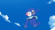 Popplio Pokémon Wiki Fandom