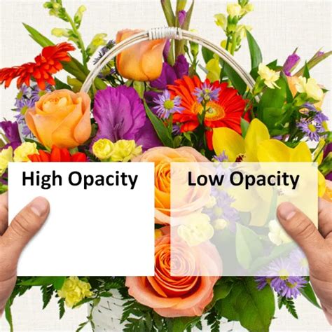 What Is C1s Paper And C2s Paper Color Vision Printing