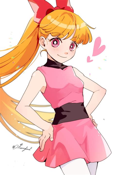 Blossom Akazutsumi Momoko And Hyper Blossom Powerpuff Girls And 1
