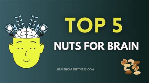 Top 5 Nuts For Brain Health Superfoods You Shouldnt Miss