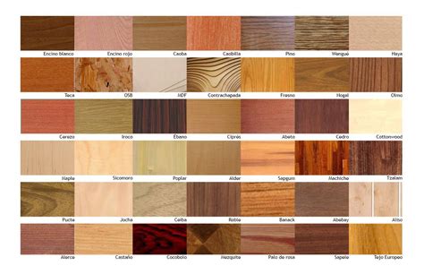 Clasificacion De La Madera Gudangmapa