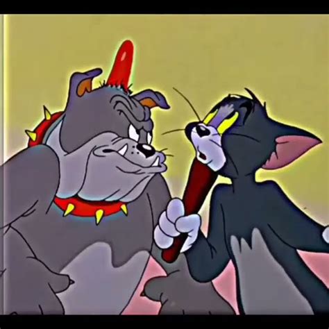 Tom Before ☠️☠️☠️☠️vs Tom Now 🤡🤡🤡🤡🤡🤡 توم قبل ضد توم الآن Tomandjerry توموجيري Youtube