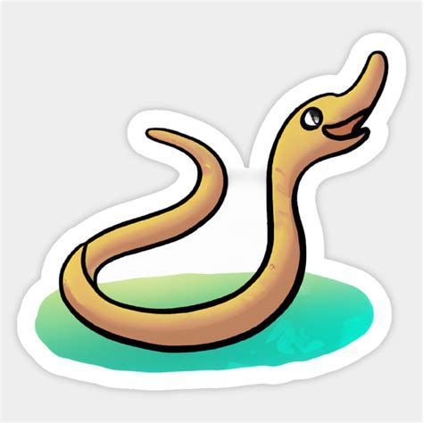 Cute Eel Drawing Eel Sticker Teepublic