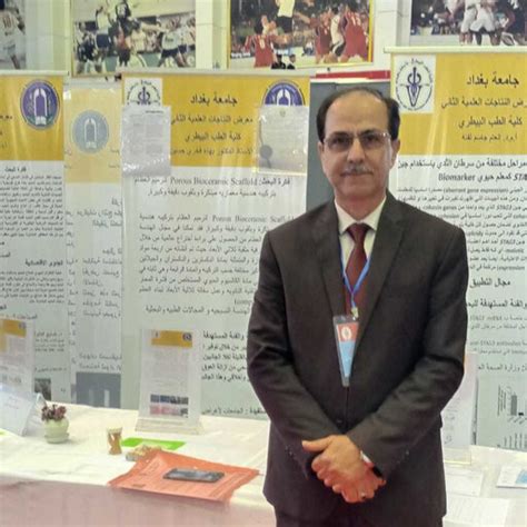 Bahaa Hussein Vice Dean Of Postgraduate And Scientific Affairs