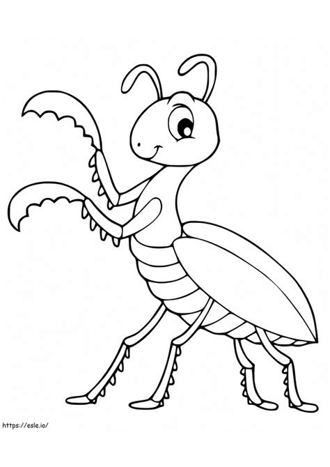 Praying Mantis Drawings Coloring Pages Free Printable Coloring Pages