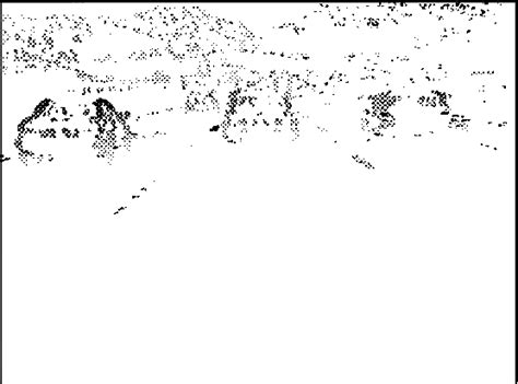 Various Steps In The Computation Of The Stereo Disparity A And B