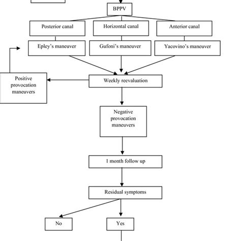Sensory Organization Test Sot A Normal Pattern Normal Scores In All