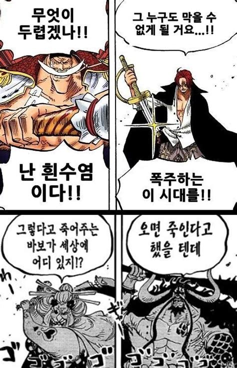 원피스 해적왕 하살법 유머움짤이슈 에펨코리아