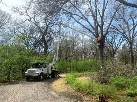 BROWNS TREE SERVICE Updated August Photos NW Tyler St Topeka Kansas Tree