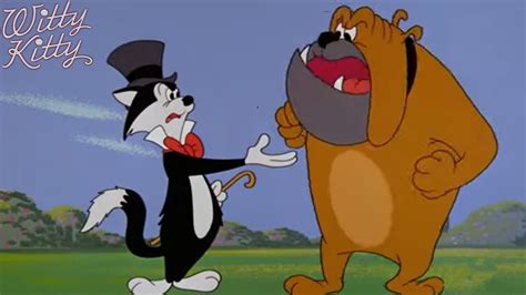 Witty Kitty 1959 Walter Lantz Hickory Dickory And Doc Cartoon Short Film