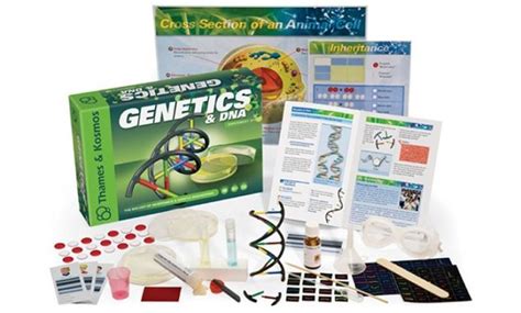 Genetics And Dna Experiment Kit Science Kits Dna Kit Genetics