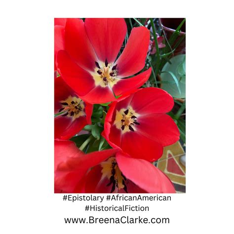 Breena Clarke On Linkedin Imagining An Afterlife Keeps Humans From Losing Hold Of The One Slender…