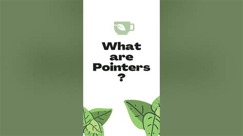 Pointers In C Python Coding Cplusplus Pointers References