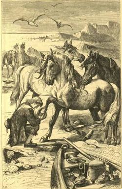Houyhnhnms Gullivers Travels Wiki Fandom