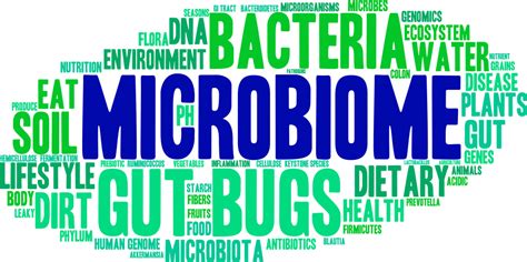 Human Microbiome Vs Microbiota Whats The Difference Essential Probioticsessential Probiotics