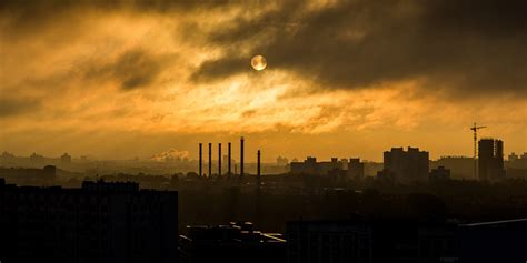 Single Award Idiq Contract Vs Multiple Award Idiq