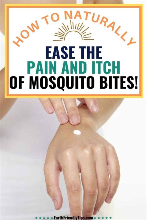The Most Effective Herbal Remedies For Mosquito Bites Earth Friendly Tips