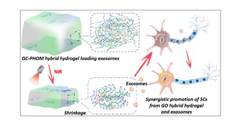 Injectable And Self Healable Thermoresponsive Hybrid Hydrogel
